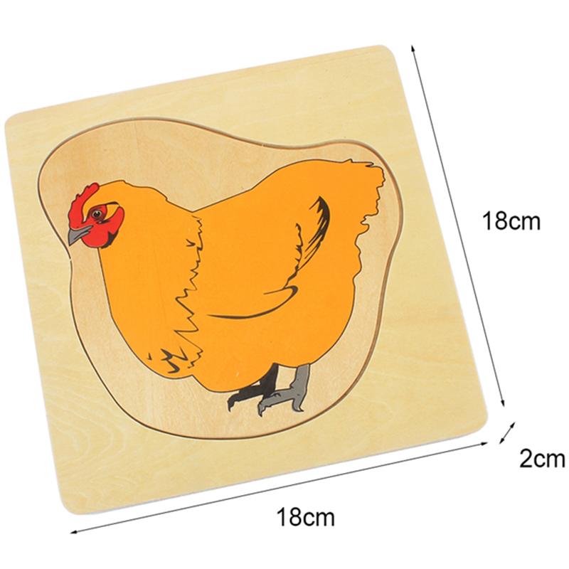 Children'S Multi-Layer Puzzle Wooden Toy Eggs Hatching Life Cycle ...