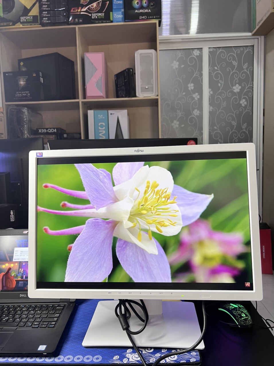 Màn hình chuyên đồ họa 24 inch Fujitsu Display B24W-7 FHD IPS CÓ LOA ...