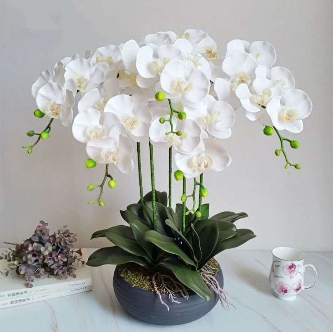 Tuyển tập 99 Chậu hoa lan hồ điệp giả đẹp Dành cho trang trí nội thất