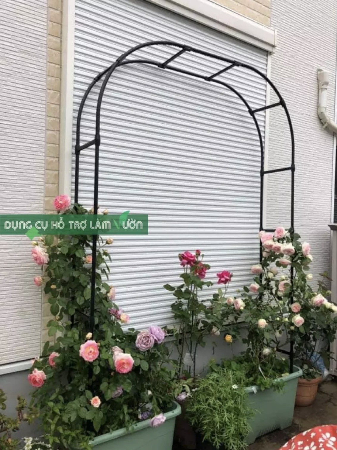Khung vòm cổng hoa hồng leo cao 210 cm chuyên trồng các loại cây leo ...