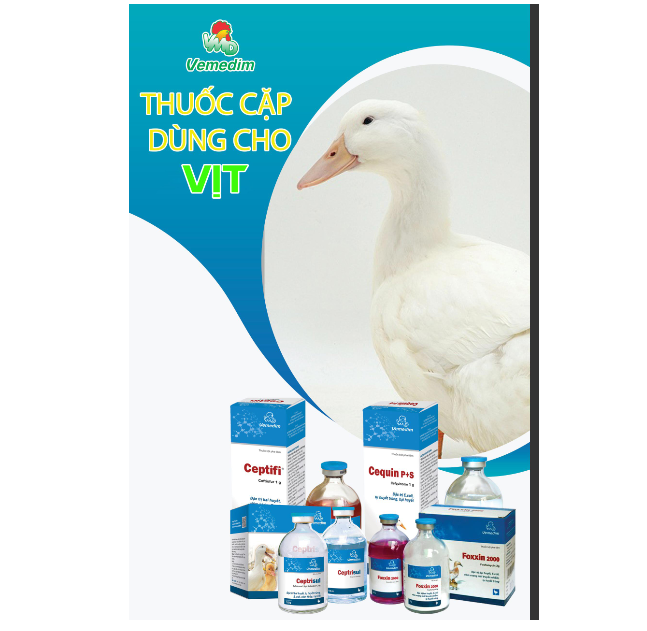 Vemedim Flucozol pha vào nước uống dùng chống nấm phổi, nấm diều trên ...