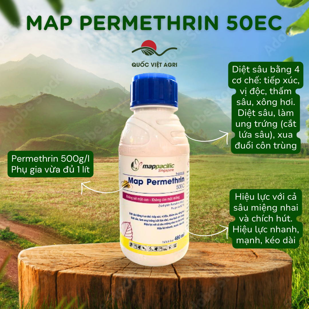 Thuốc trừ sâu - MAP PERMETHRIN 50EC - 480ml | Lazada.vn