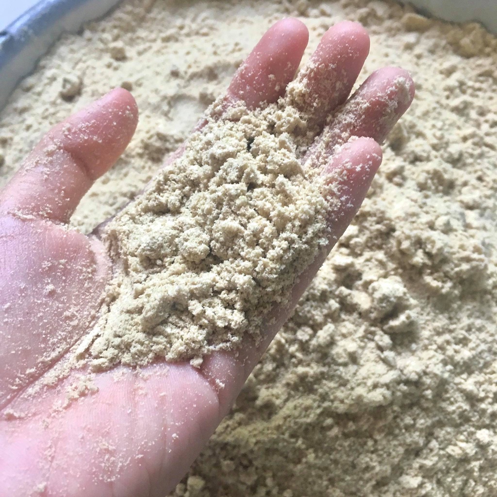 1KG Cám Gạo Thức Ăn Cho Chim Cút Cám Cho Gà Con Cám Gạo Cho Vịt Con Cám ...