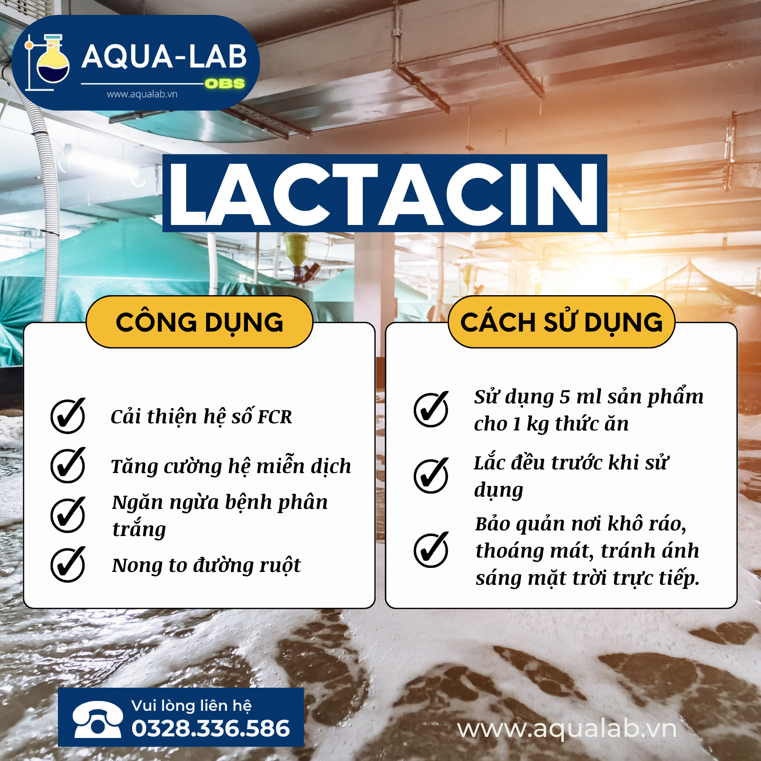 MEN TIÊU HÓA CHO TÔM THẺ CHÂN TRẮNG TÔM SÚ LACTACIN 500ML NONG TO ĐƯỜNG ...