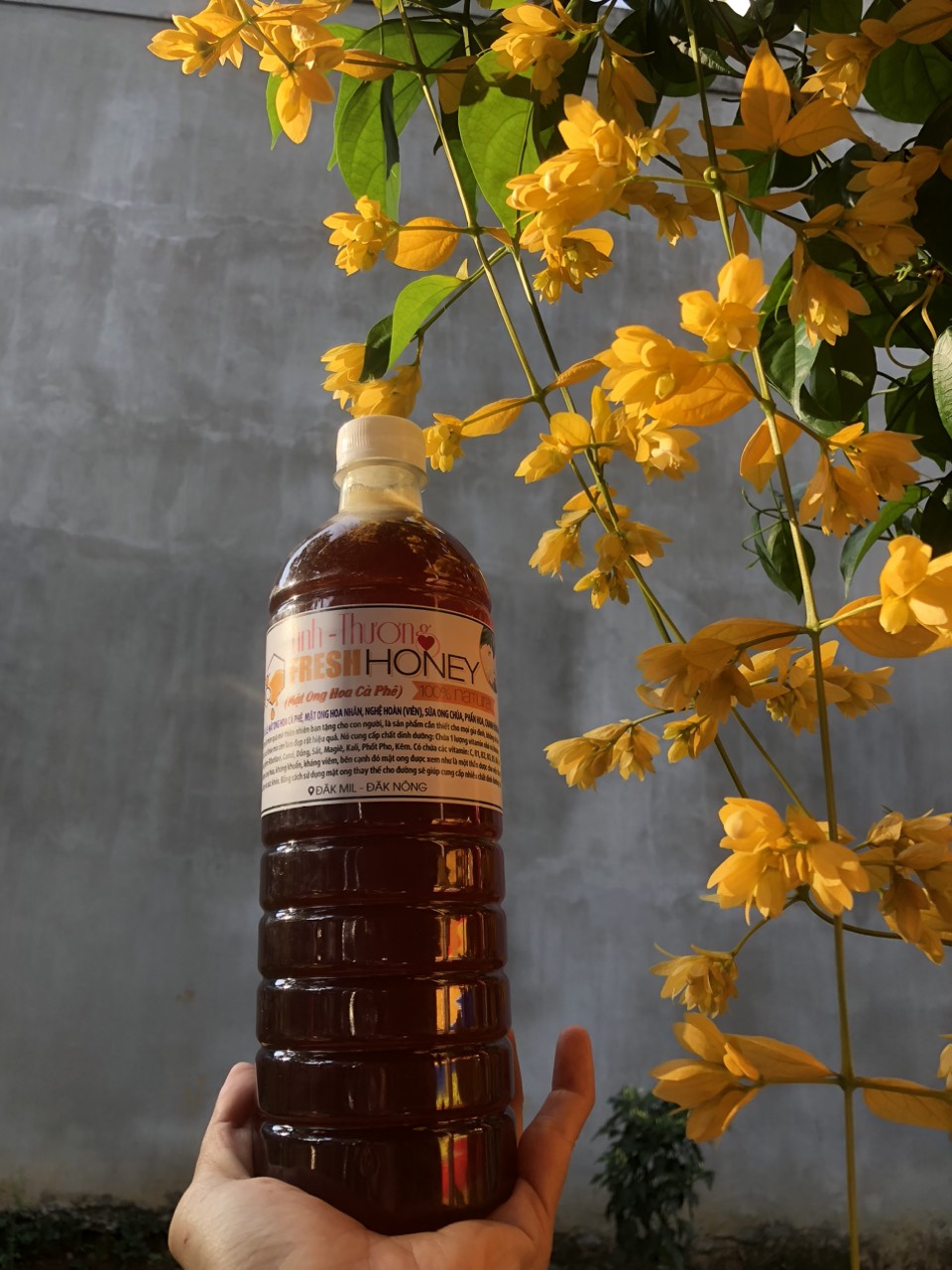 Mật ong hoa cà phê, CÓ PHIẾU KIỂM NGHIỆM 1000ml, NĂM 2022- MẬT CŨ | Lazada.vn