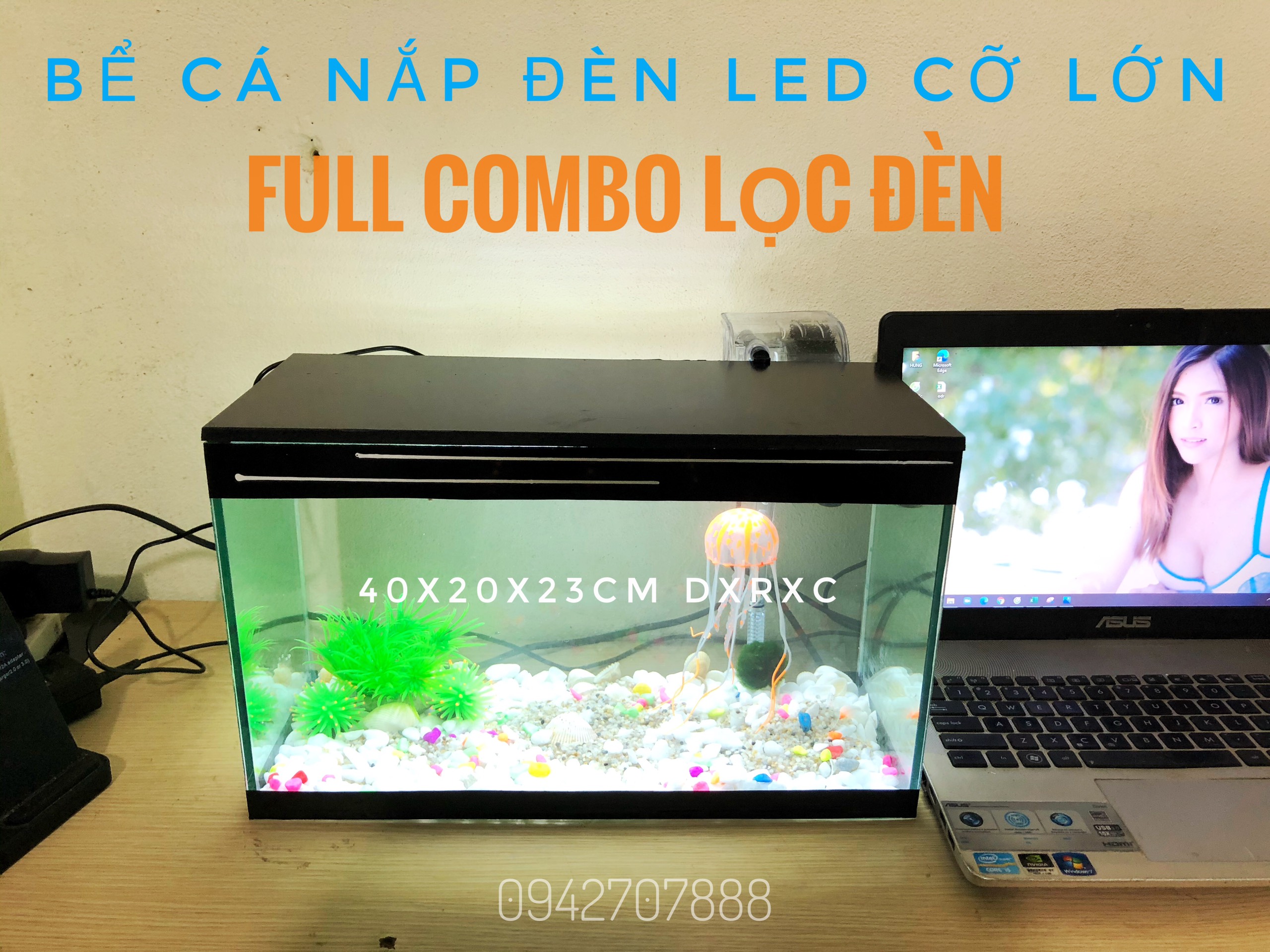 Set bể cá mini có lọc kèm nắp đèn và 8 món( bể, lọc, cây, sỏi màu, vỏ ...