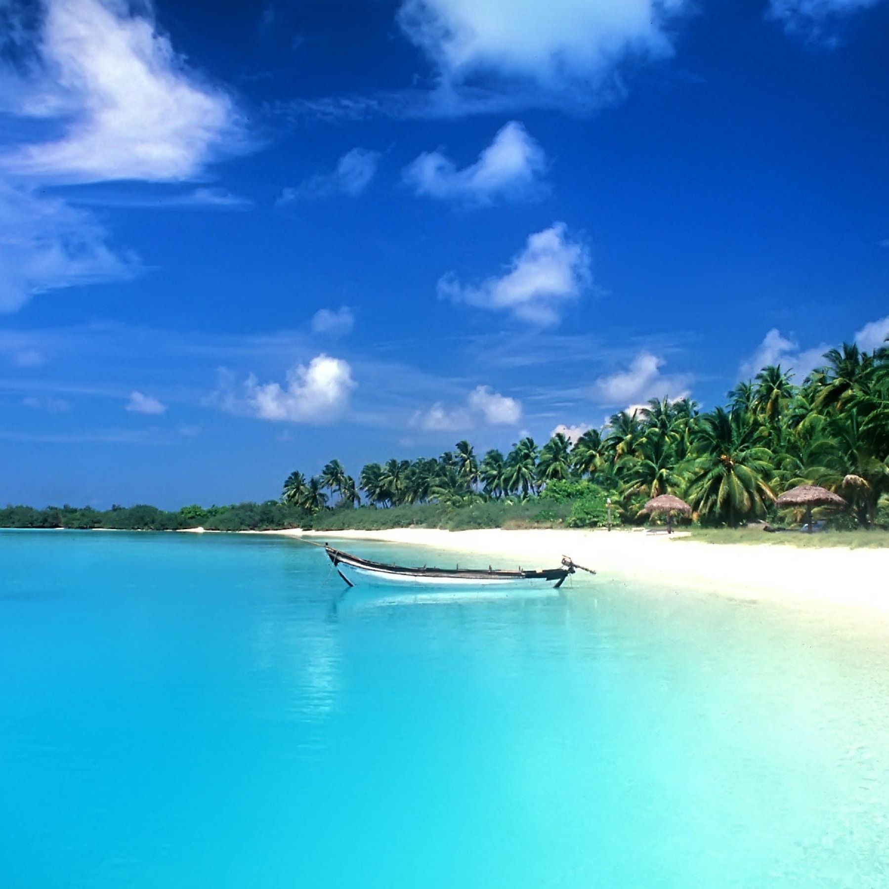 Shop online with KANIFA.VN now! Visit KANIFA.VN on Lazada.