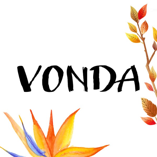 VONDA Việt Nam Cửa Hàng Chính Hãng Trực Tuyến | Mua Ngay Trên Lazada