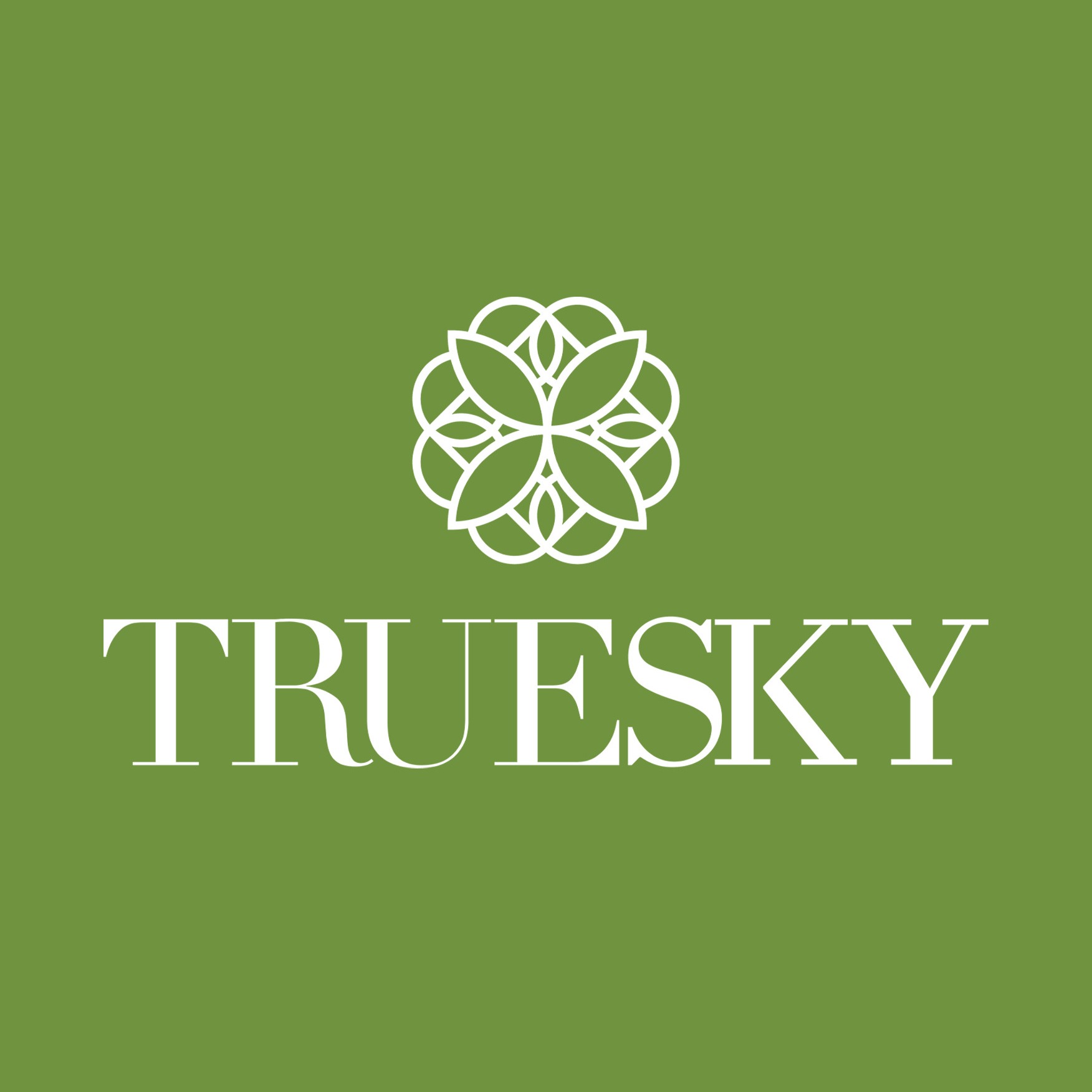 Shop online with Truesky Official Store now! Visit Truesky Official ...